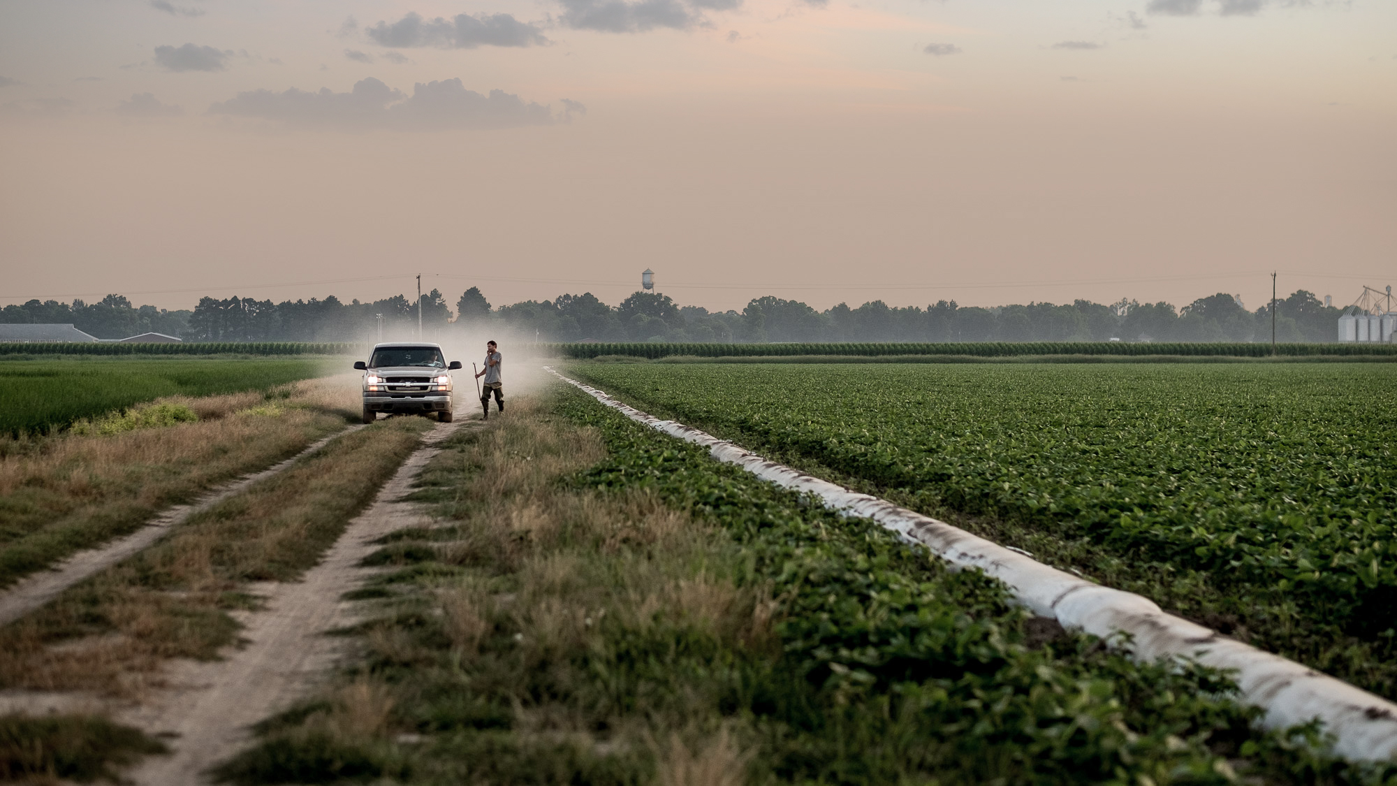 Brian Mack - Tiller Land