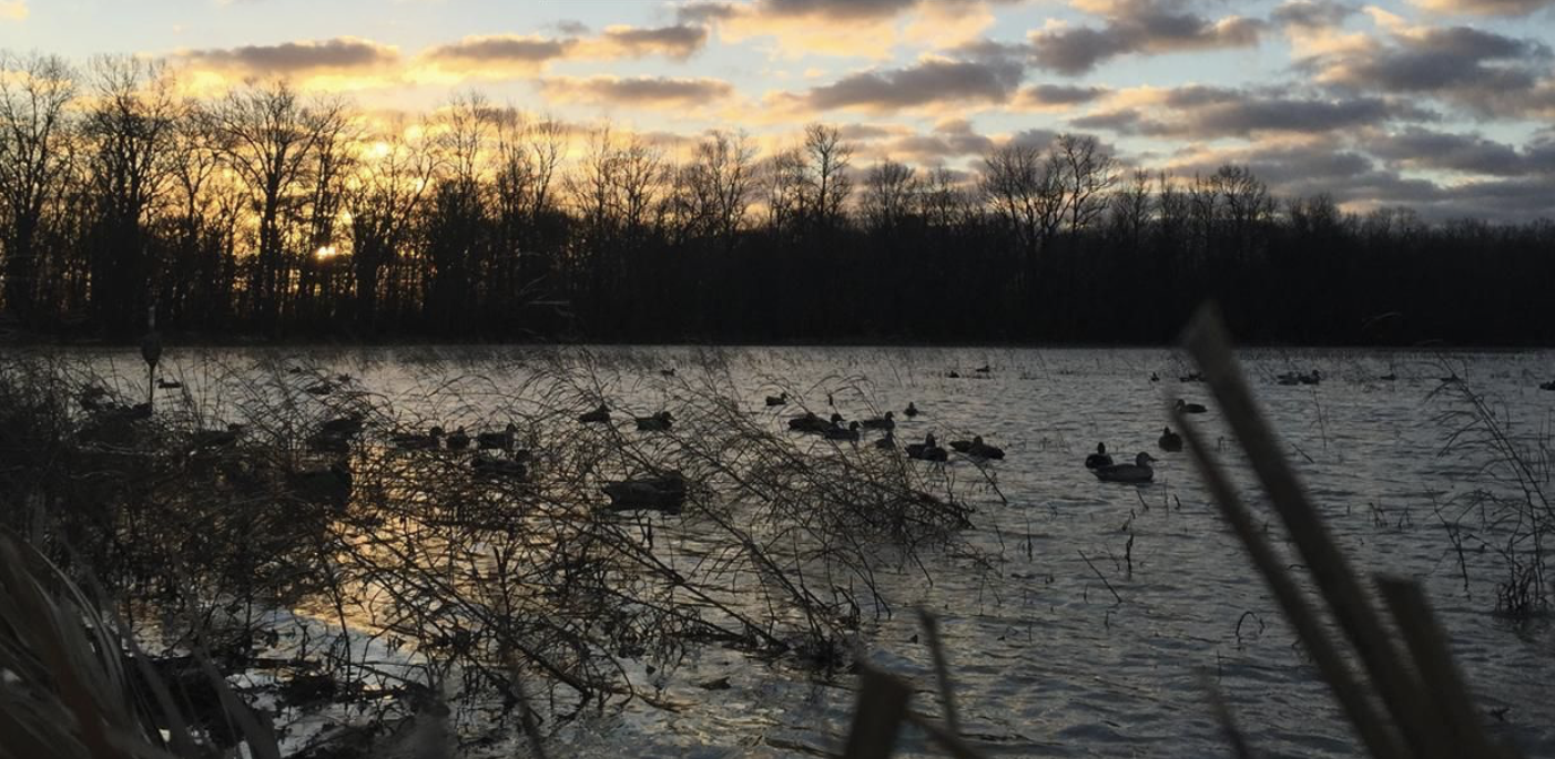 Fowl Play Farm & Hunt Club - Tiller Land