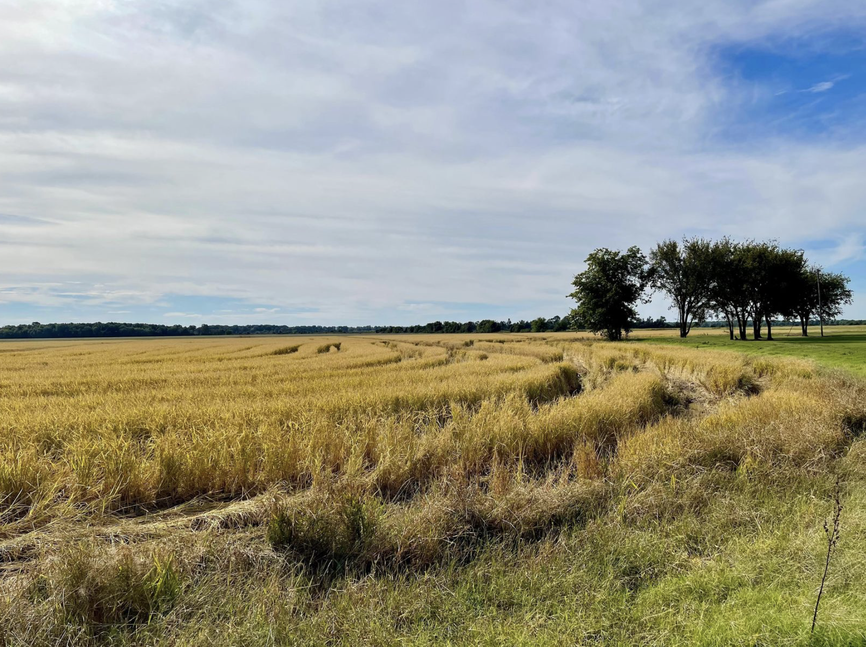 Fowl Play Farm & Hunt Club - Tiller Land