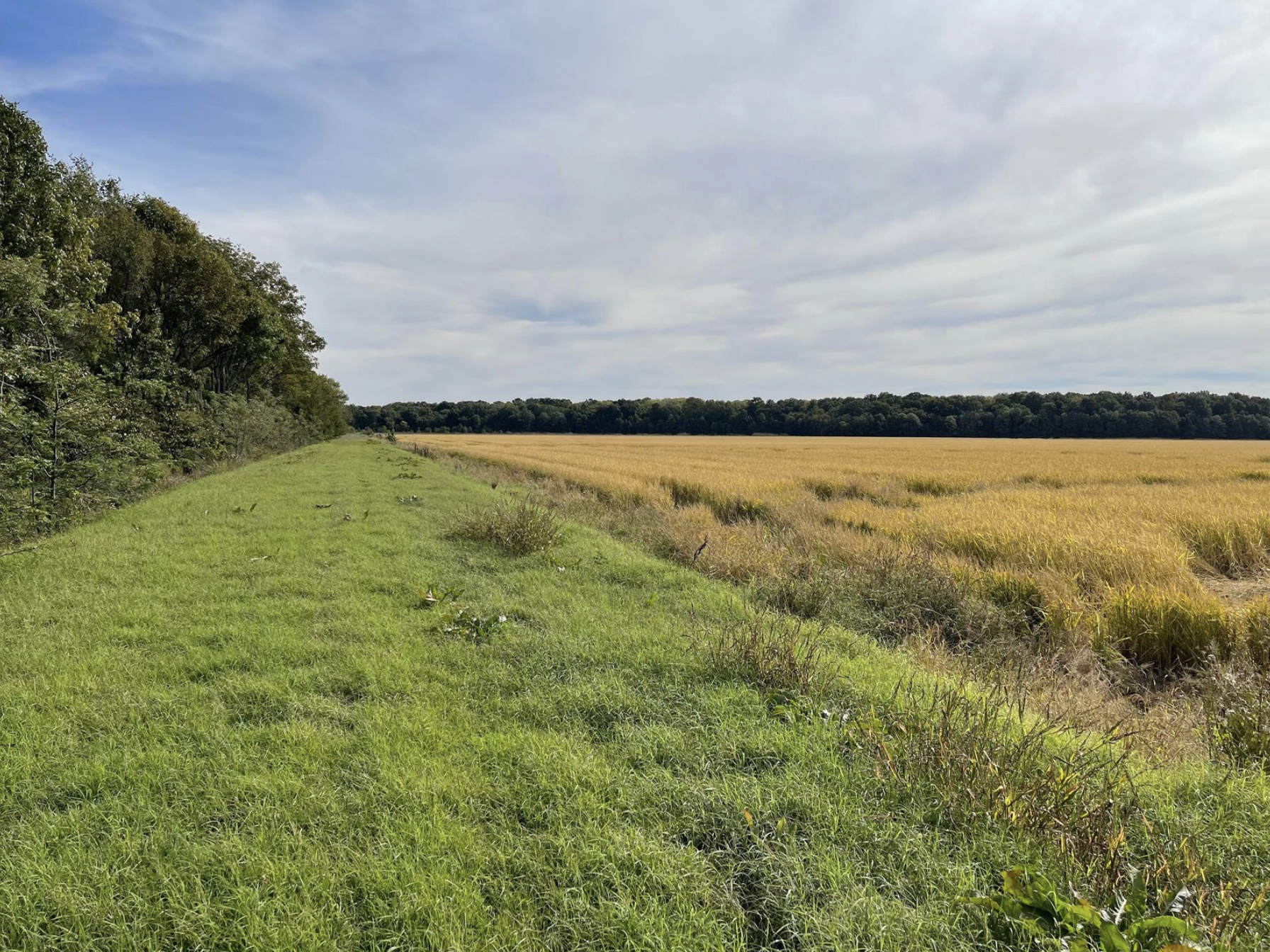 Fowl Play Farm & Hunt Club - Tiller Land