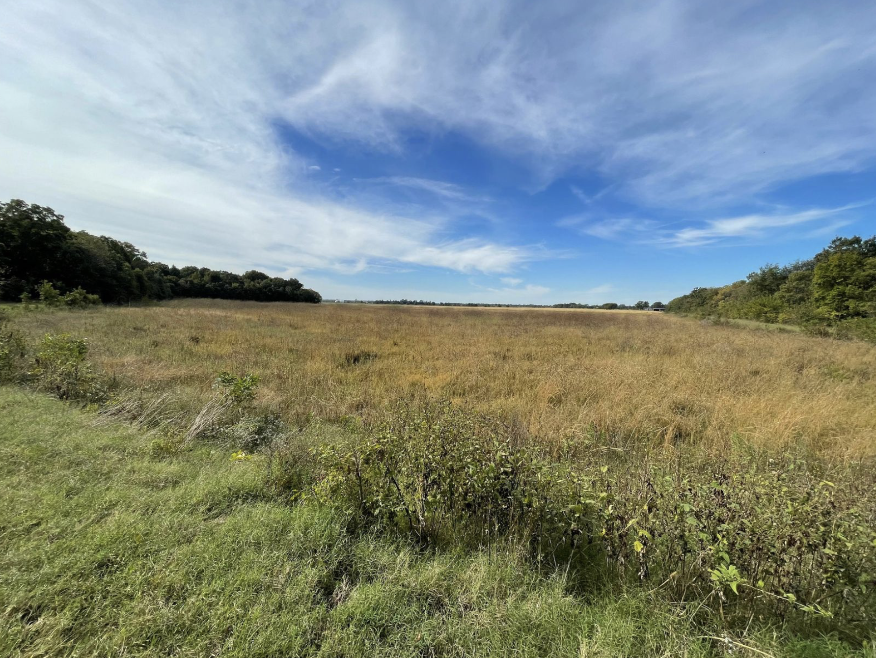 Fowl Play Farm & Hunt Club - Tiller Land